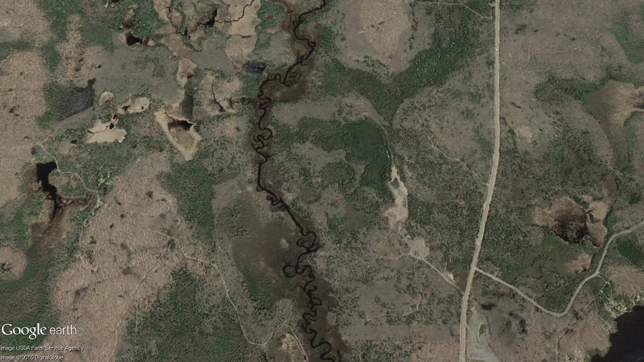 Mapping Whitetails #04: Finding and Analyzing Rub Lines - Legendary ...