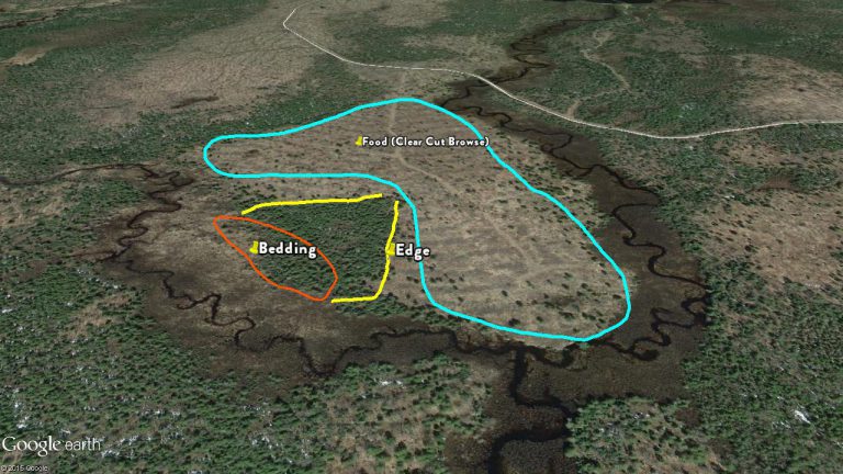 Mapping Whitetails #04: Finding and Analyzing Rub Lines - Legendary ...