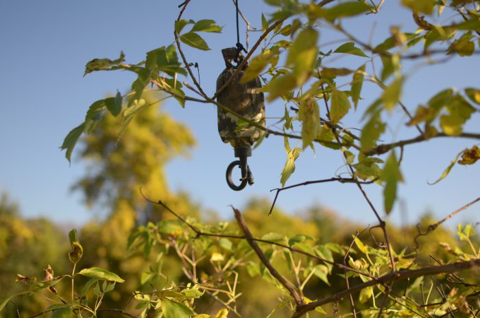 Make Your Own Scrape Tree - Legendary Whitetails - Legendary Whitetail ...