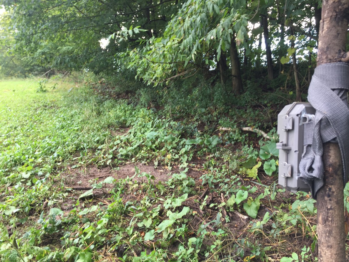 October Deer Hunting Hot Spots - Legendary Whitetails - Legendary ...