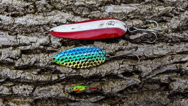 Top 5 Fishing Lures to Have in Your Tackle Box - Legendary Whitetails ...