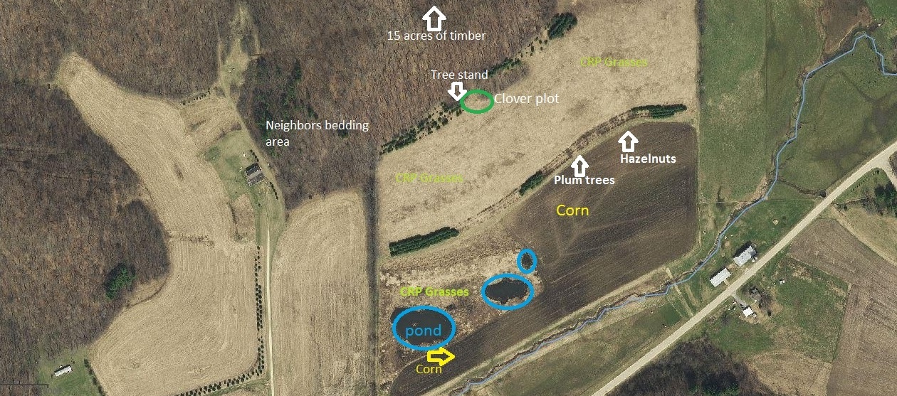 Food Plots: Only Part of the Equation - Legendary Whitetails ...